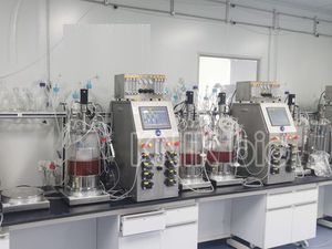 Batch bioreactor / fermentor - All industrial manufacturers