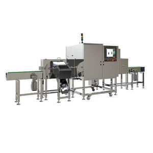 Container inspection system - All industrial manufacturers