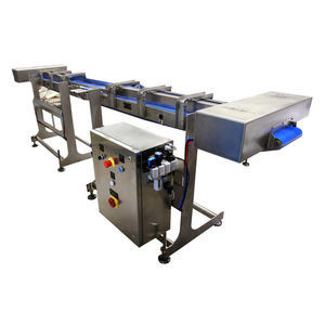 Diverter conveyor - All industrial manufacturers