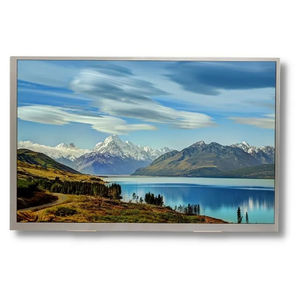 3.1" display module - TTH031BVS-01C - TAILOR PIXELS TECHNOLOGY CO., LTD. - TFT / IPS ...