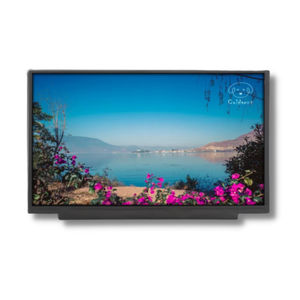 TFT display module - TTQ071BVE-01 - TAILOR PIXELS TECHNOLOGY CO., LTD. - IPS / 280 × 1424 / 7.1"