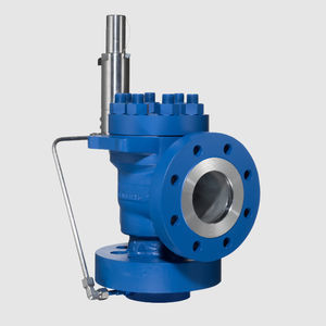 Standard safety valve - All industrial manufacturers