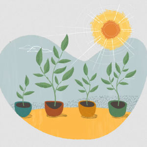 Storage server - S7-2 - Oracle - embedded / industrial / SPARC