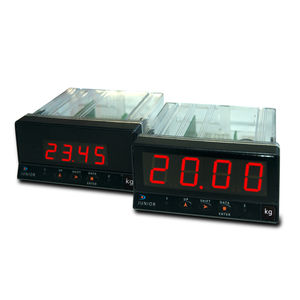 Process indicator - IDEAL-P - DITEL - temperature / digital / panel-mount