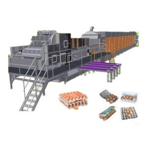 Egg tray production plant - HRZ series - Longkou City Hongrun Packing ...