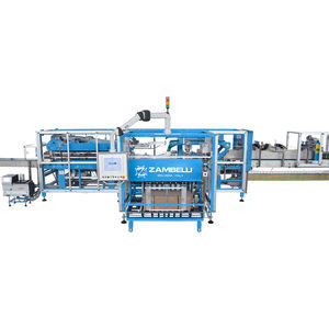 Continuous-motion case packer - All industrial manufacturers