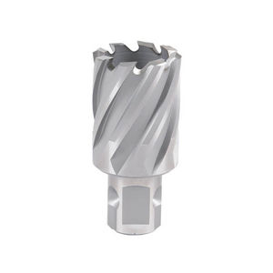 HSS core drill, HSS annular cutter - All industrial manufacturers