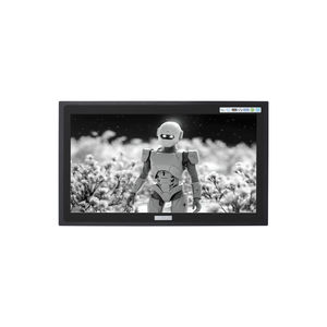TFT-LCD monitor - IDP-2150W series - TP-IPC - projected capacitive ...