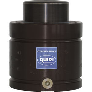 Stainless steel gas spring - RGP 1000 N - QUIRI - for the automobile ...