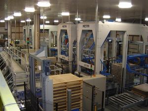 Layer palletizer - MT566/F - Mectra - for cans / automatic