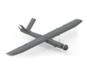 Fixed-wing UAV - WanderB-VTOL - BlueBird Aero Systems - for photogrammetry