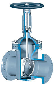 Flexible wedge valve - All industrial manufacturers