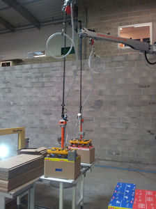 Manipulator for the packaging industry - All industrial manufacturers