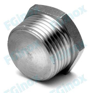 Hexagonal plug - BF100G - FG INOX - with hexagonal head / threaded / female