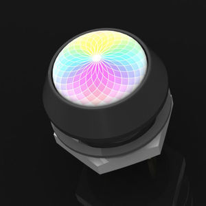 Custom push-button switch - All industrial manufacturers