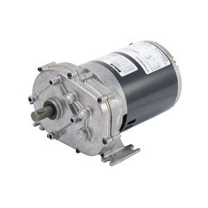 Parallel-shaft gearmotor - 040 Series - BISON - AC / gear train / solid ...
