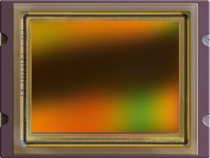 CMOS image sensor - CMV50000 - AMS - full-color / high-speed / area scan