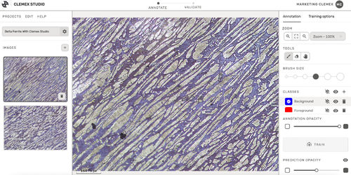 Image analysis software - Clemex Technologies inc. - creation / for ...