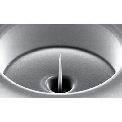 Automation software - AutoScript 4 - THERMO FISHER SCIENTIFIC ...