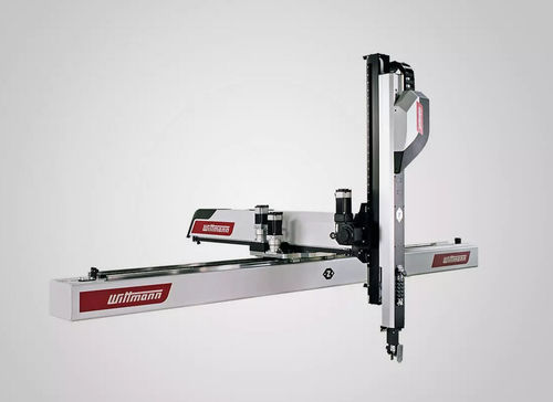 Cartesian robot - Primus series - WITTMANN - 3-axis