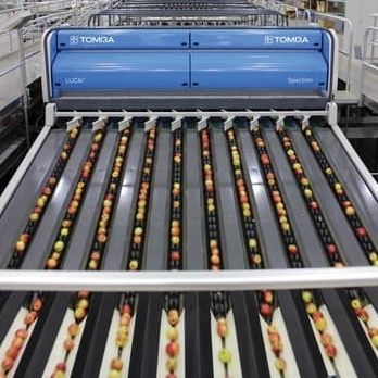 Sorting machine for the food industry - Spectrim X - Tomra - automatic ...