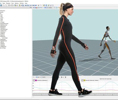 Analysis software - Xsens Analyze - Xsens - calibration / quality / visualization