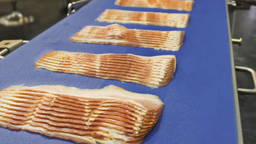 Belt for the food industry - Extremultus - Forbo Siegling GmbH - flat ...