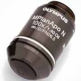 Fixed-focus objective lens - MPLAPON-Oil - Evident - Olympus Scientific ...