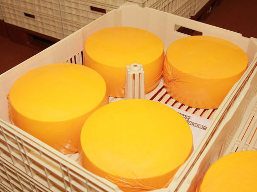 Plastic pallet box - FIBOSA - cheese maturing / ventilated