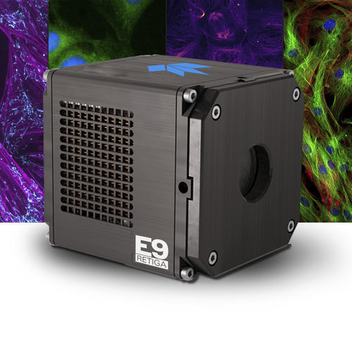 Machine vision camera - Retiga E9 - Dalsa - for scientific applications ...