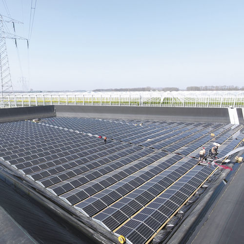 Floating cover - Multi-F Solar - Albers Alligator