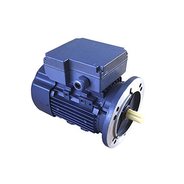 Induction motor - YCJ series - Gw industry - single-phase / 220 V ...