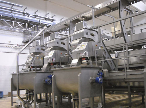 Fruit chunking-slicing machine - Agromeccanica srl - for vegetables