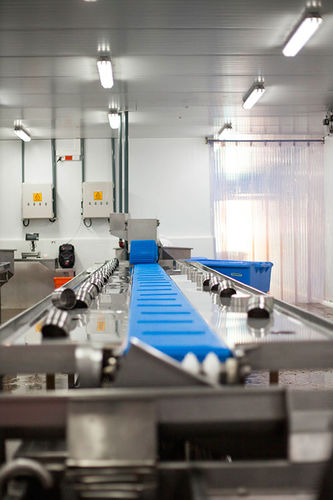 Fish deheading table - Balzo