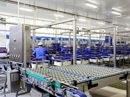 Can feeding system - Hermasa - Cannin Technology - for empty containers