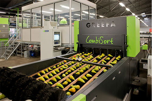 Sorting machine for the food industry - COMBISORT - Greefa - automatic ...