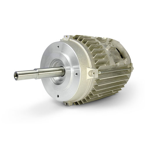 Induction motor - MOTORI BONORA SPA - AC / compact / submersible