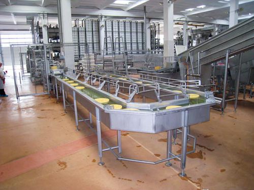 Cheese brining system - CHALON MEGARD