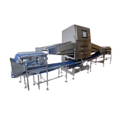 Detection scanning system - FOTON-X 6040FP - MSSPEKTRAL SAVUNMA SANAYİİ ...