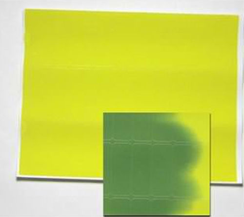 Thermo-sensitive label - EK100 series - SpotSee - paper / yellow / green