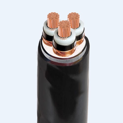 Power cable - CXV/DSTA – AXV/DSTA - Thinh Phat Cables Joint Stock ...