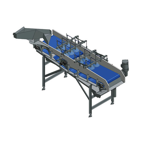 Shrimp ice glazing machine - COMPACT - Martak - belt