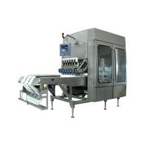Ice cream filling and wrapping machine - GMW - Gram Equipment