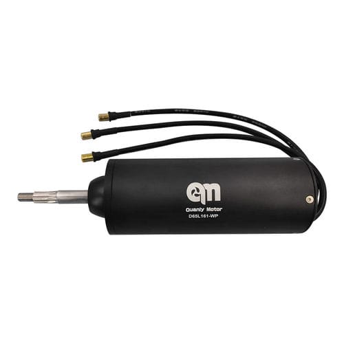 Brushless motor - D65L161-WP - Dongguan Tengfei Power Technology Co ...