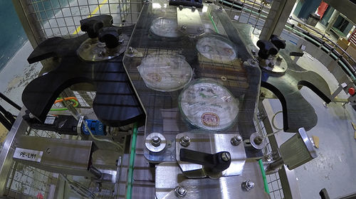 Lane divider - Technica International - horizontal / for conveyor