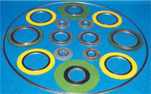 O-ring gasket - Bombay Chemical Equipments - spiral / metal / round