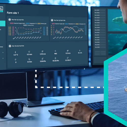 Analysis software - Connected Seafarm - Krucial - remote condition ...