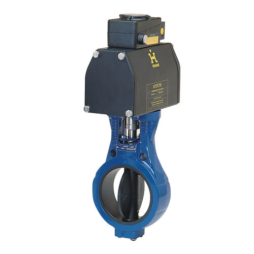 Butterfly valve - F637 - Pentair Valves & Controls - electric / for ...
