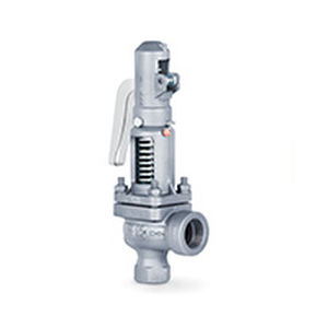 Threaded safety valve - SR5 series - TECOFI - flange