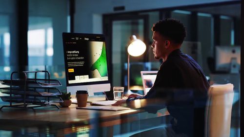 Analysis software - optiSLang - ANSYS - simulation / management / visualization